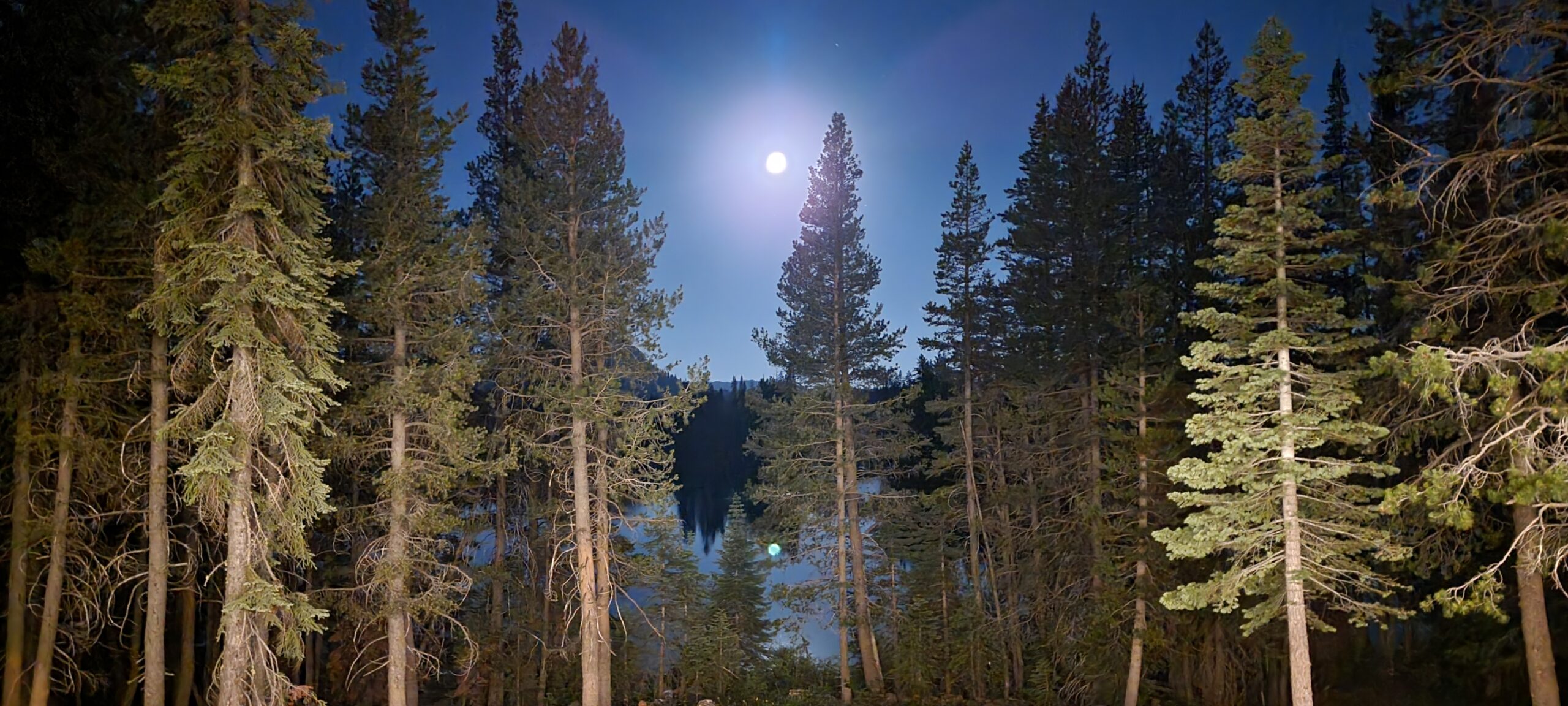 Sleeping Under the Stars at Camp WAMP - Wampler Foundation